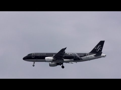 Shin Godzilla Jet (JA08MC / Airbus A320-214 / Straflyer / 2016-07-18 11 ...