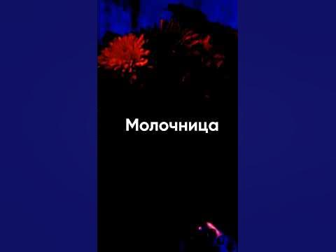 Кандида. Как от неё избавиться - YouTube