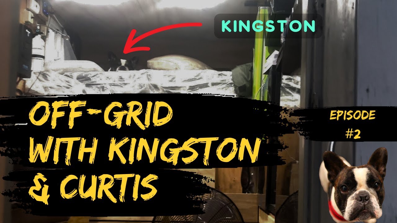 Camping In Langley Walmart - Kingston and Curtis - YouTube