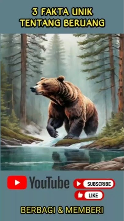 3 fakta unik tentang beruang - YouTube