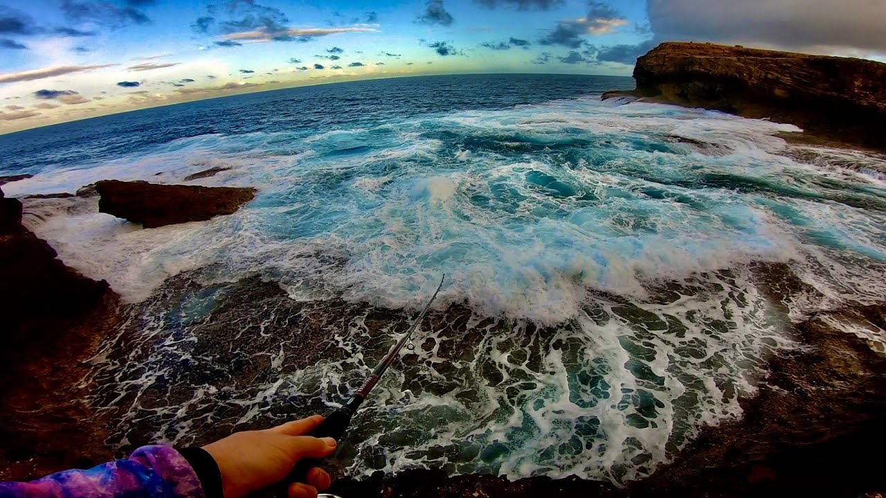 Trying to find my fish of a lifetime - YouTube