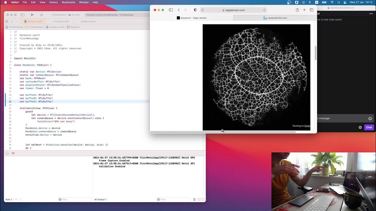 Compute Shaders on Metal - Physarum: Part 1 - YouTube