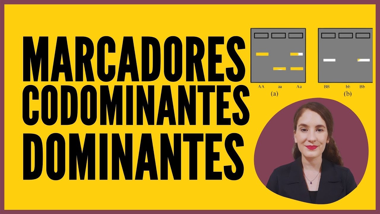 O que são marcadores moleculares dominantes e codominantes? - YouTube