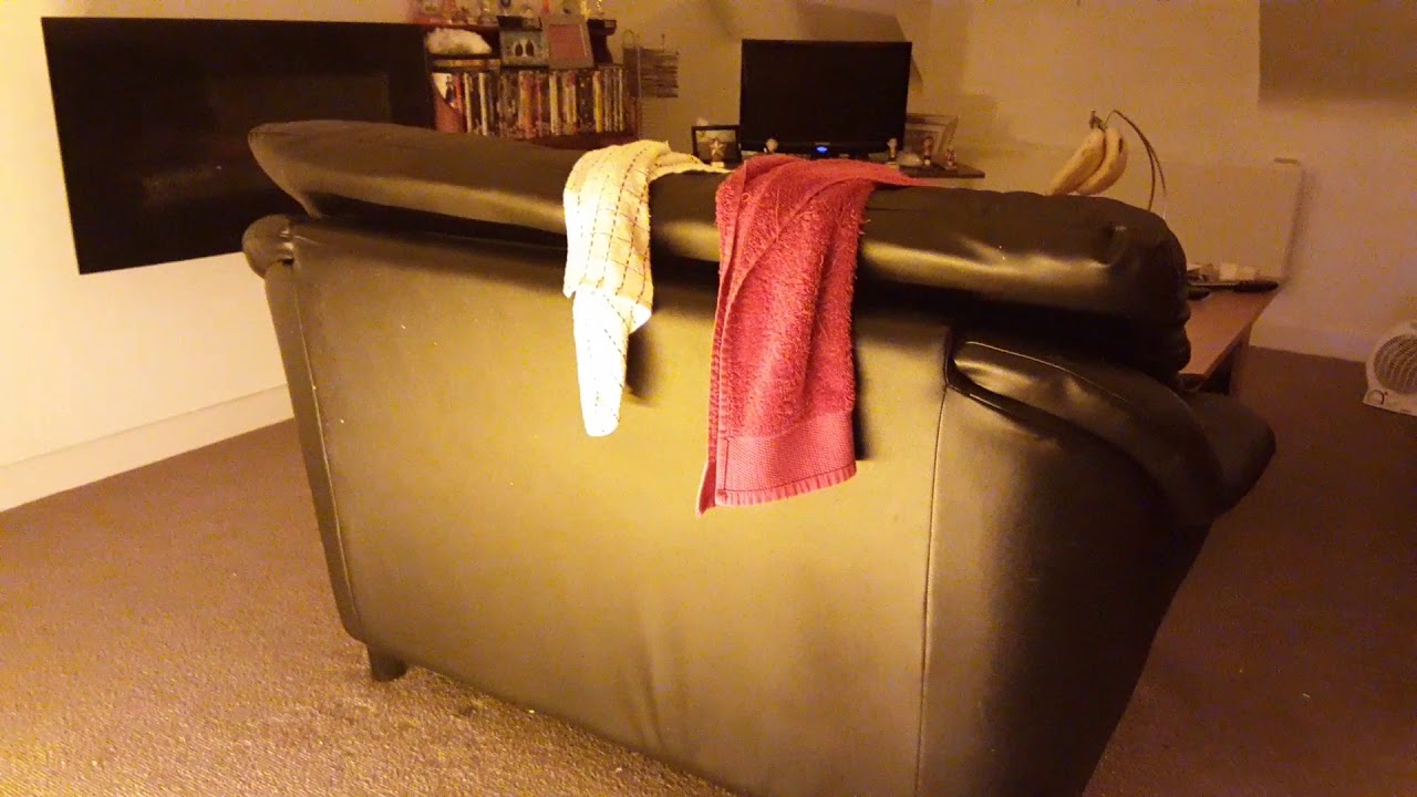 Fitzgerald 5 foot fluorescent striplight with a yellow T8 fluorescent ...