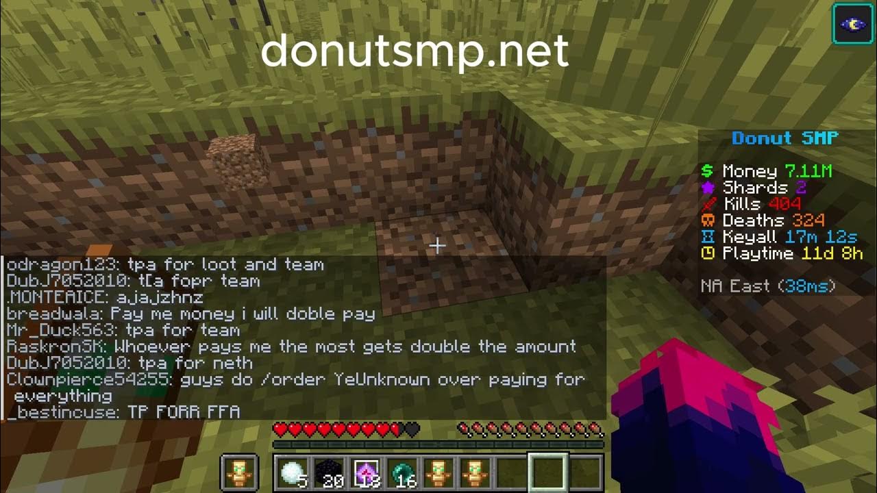 FREE SKELLY SPAWNER DONUT SMP - YouTube