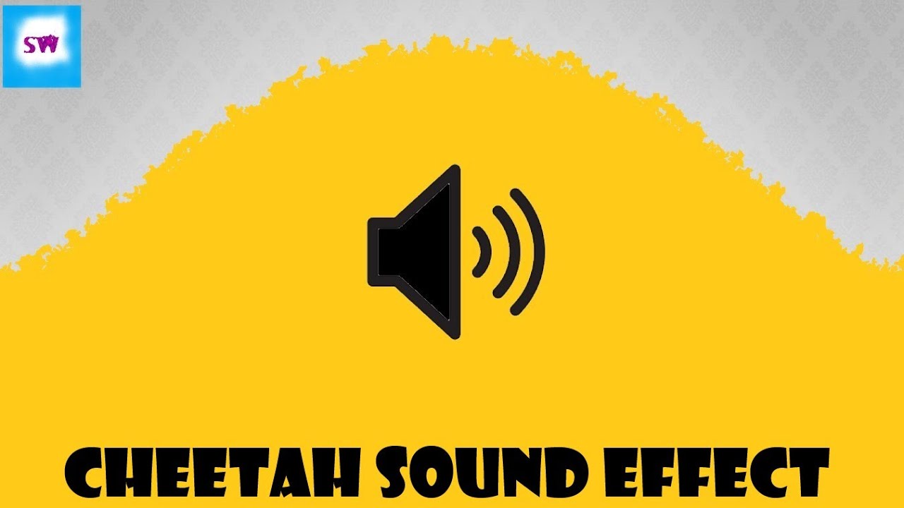 CHEETAH-sound effect - YouTube