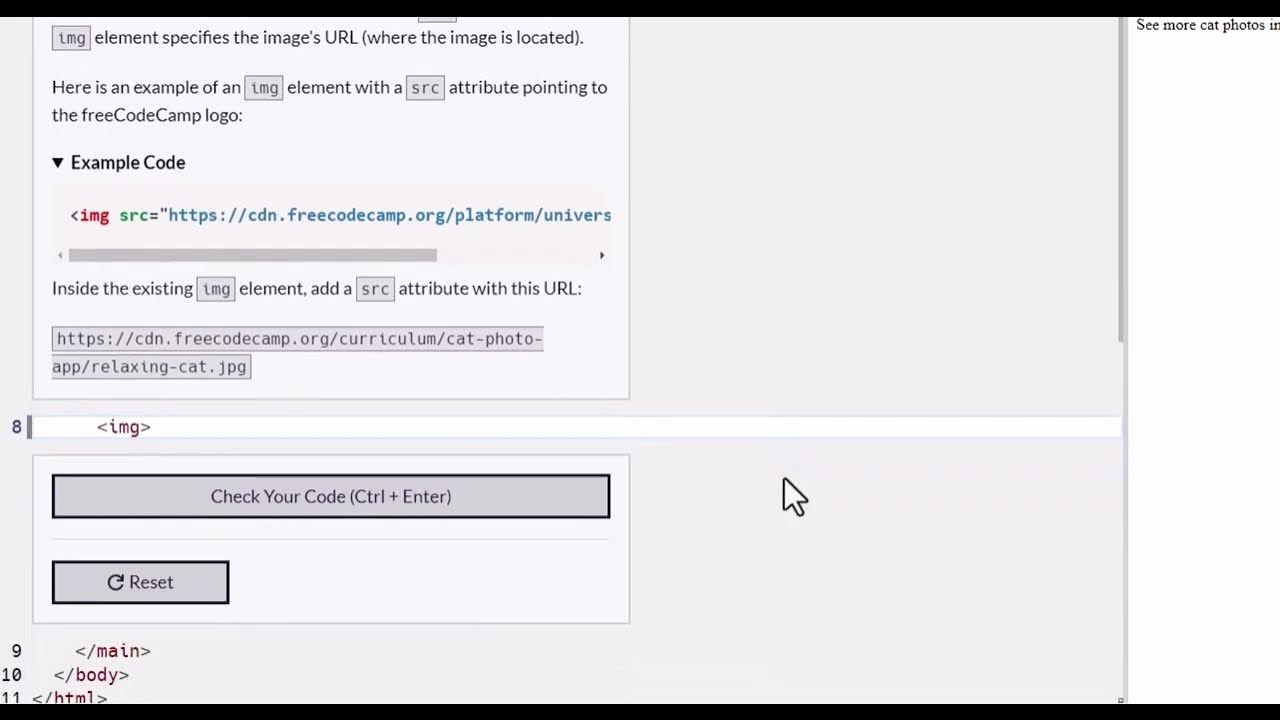FreeCodeCamp Challenge: Day 6 - The Case of the Missing Image: Solved! (The Power of "src") 🕵️‍♀ ...