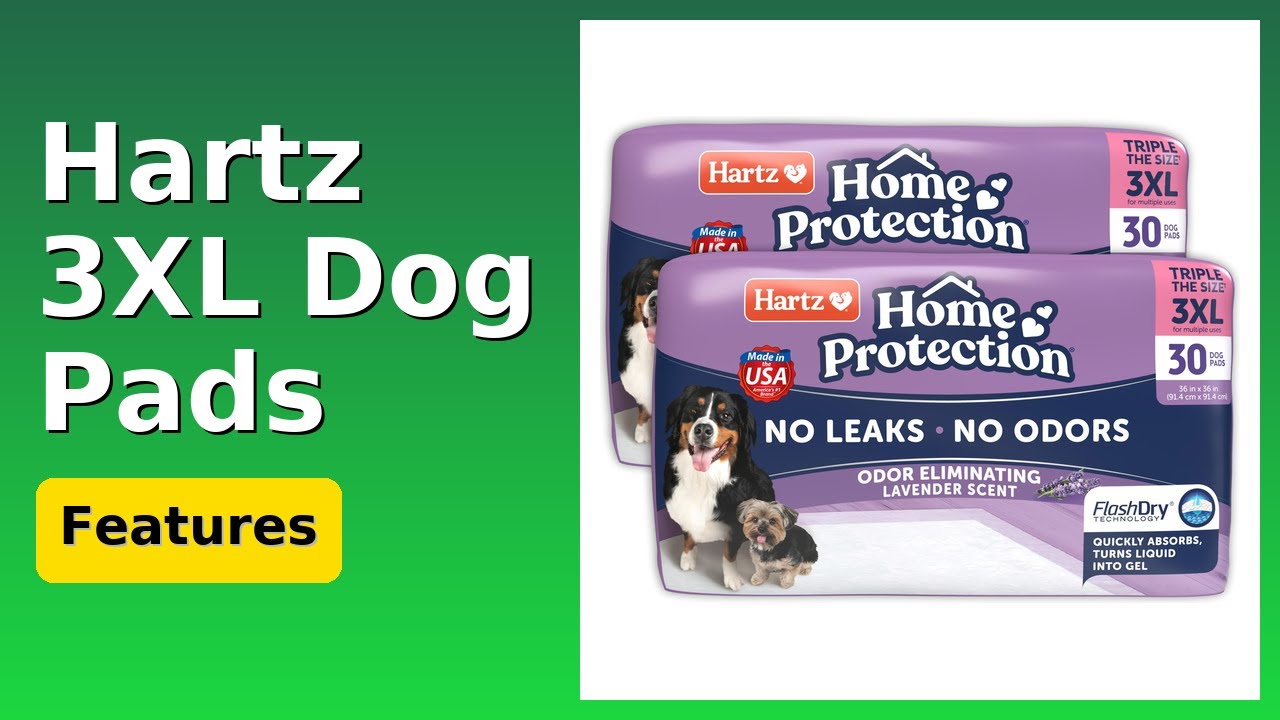 REVIEW (2026): Hartz 3XL Dog Pads. ESSENTIAL details. - YouTube
