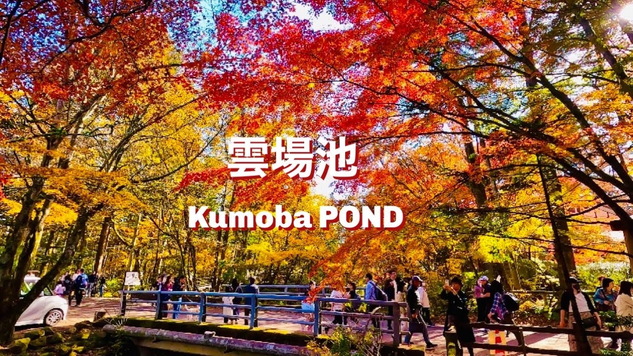 【軽井沢の名所】雲場池の紅葉2023 Karuizawa Famous Place “Autumn Leaves at Kumoba Pond ...