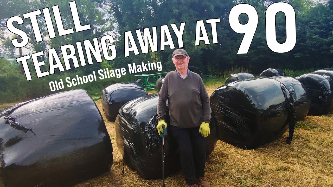 An OLD MAN of 90 Years Making Silage The OLD SCHOOL WAY! - YouTube