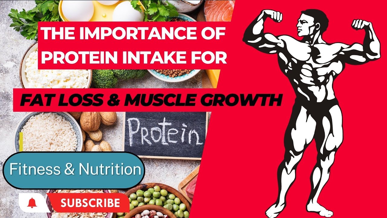 Protein intake for Fat loss and muscle gain - Tips to loss fat and gain ...