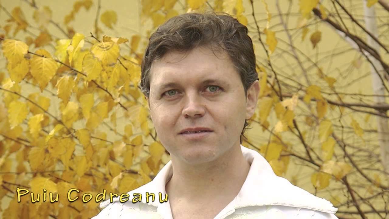 Puiu Codreanu Tu esti jumatatea mea HIT Live - YouTube