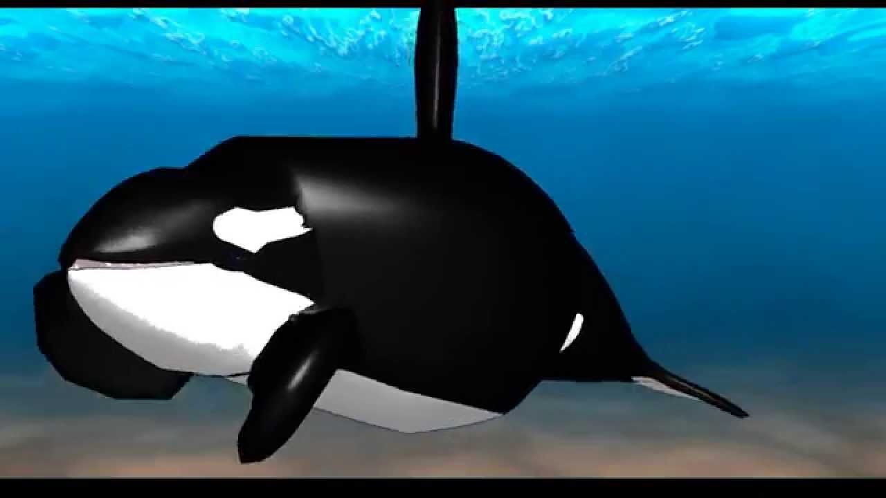 Tipsy MMD Orca (Nyanners version) - YouTube