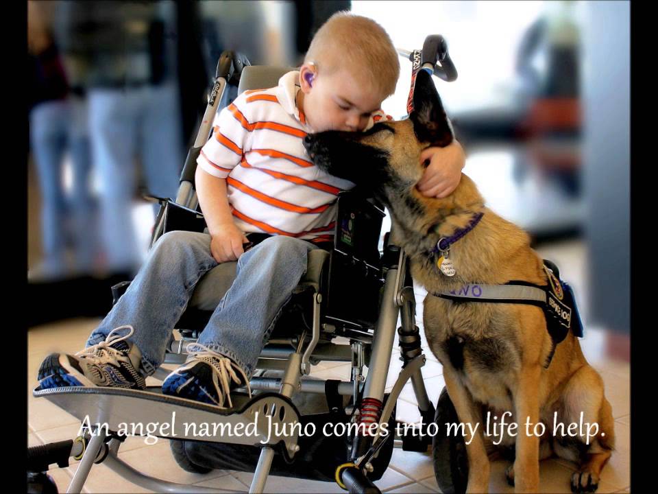 Lucas's life with MPS - YouTube