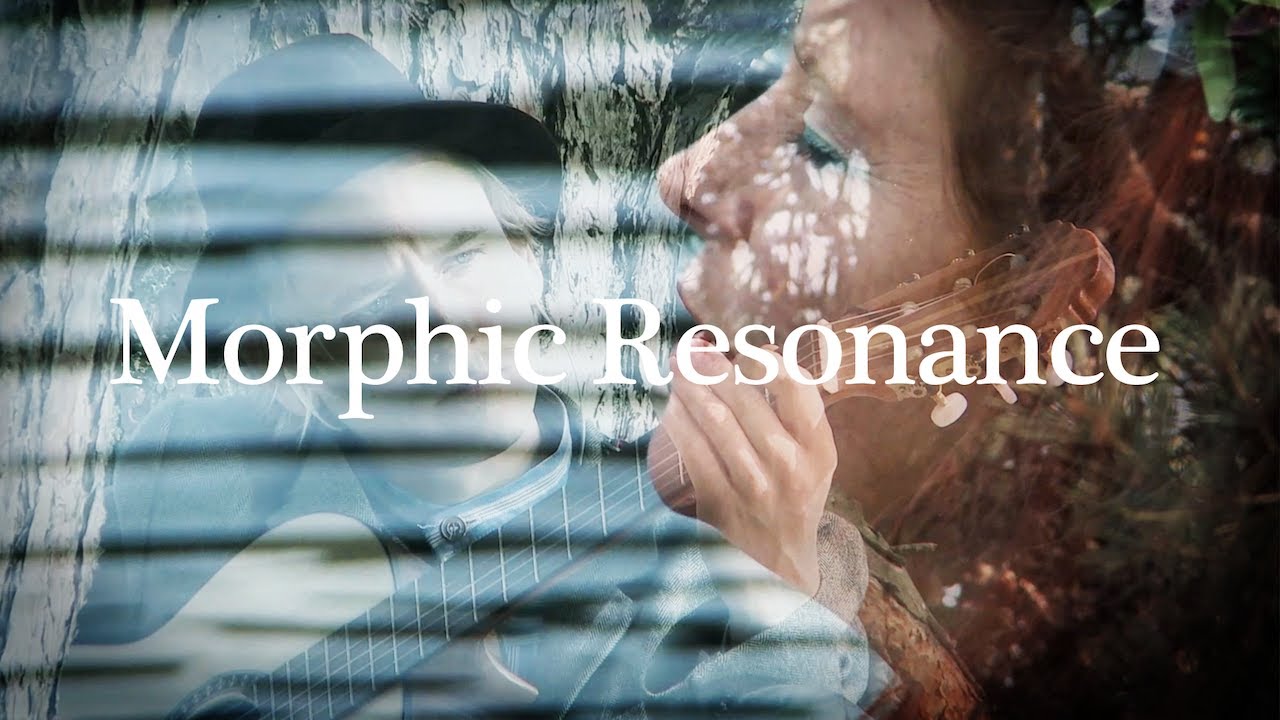 Morphic Resonance | Communicating with Nature | Full Film - YouTube