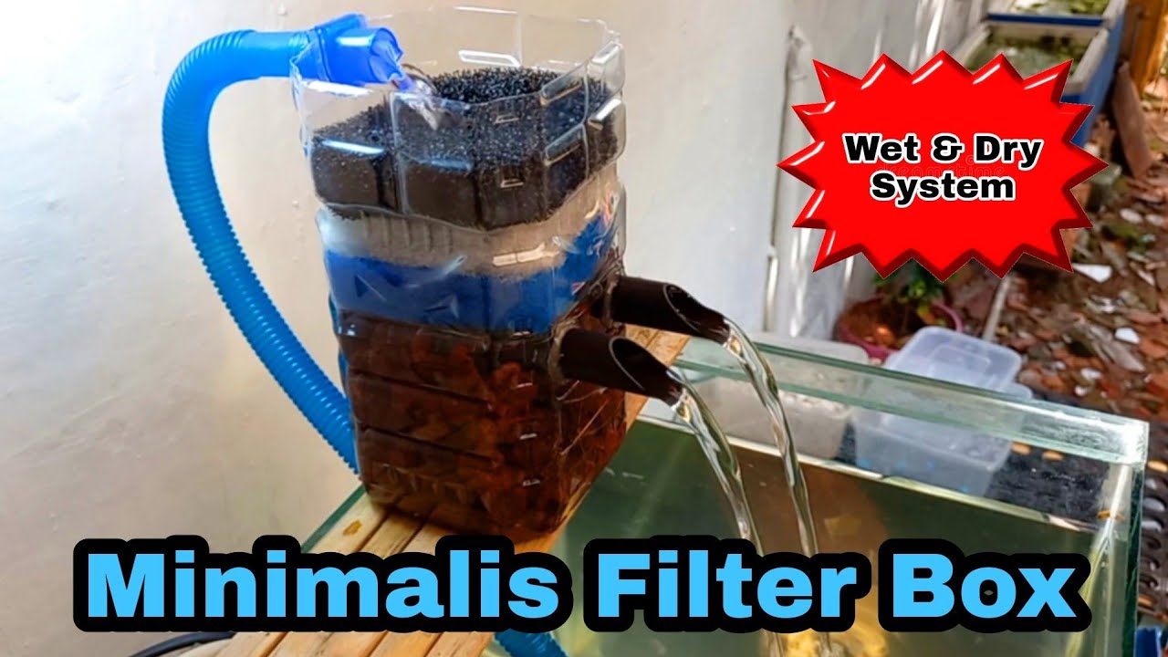 Wet and dry filter box DIY | Aquarium filter DIY | Top filter DIY | #4 ...