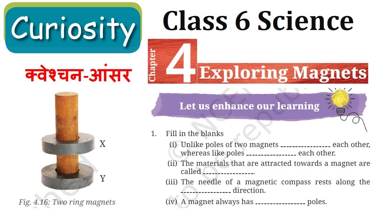 Class 6 Science(Curiosity) Chapter 4 question answer क्लास 6 साइंस ...