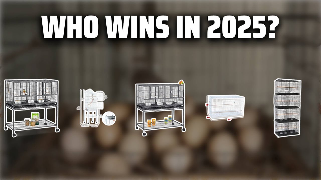 The Top 5 Best Breeding Cages in 2025 - Must Watch Before Buying! - YouTube