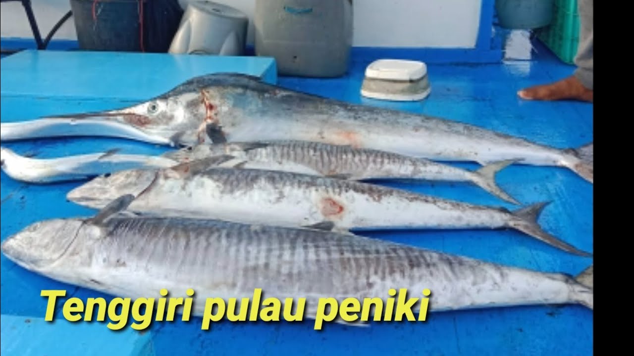Mancing tenggiri di pulau peniki - YouTube