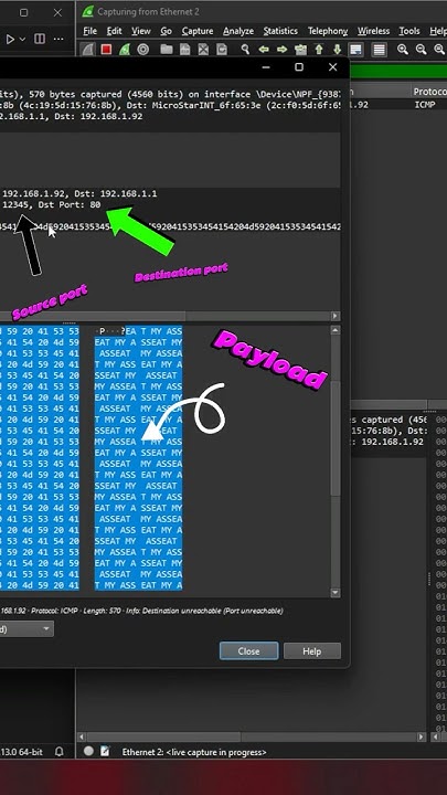 How to send a custom UDP Packet using Python! #100daysofcoding - YouTube