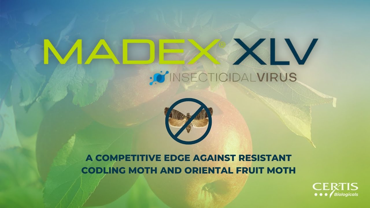 Meet Madex XLV and Add Power To Your Viral Pest Control Program - YouTube