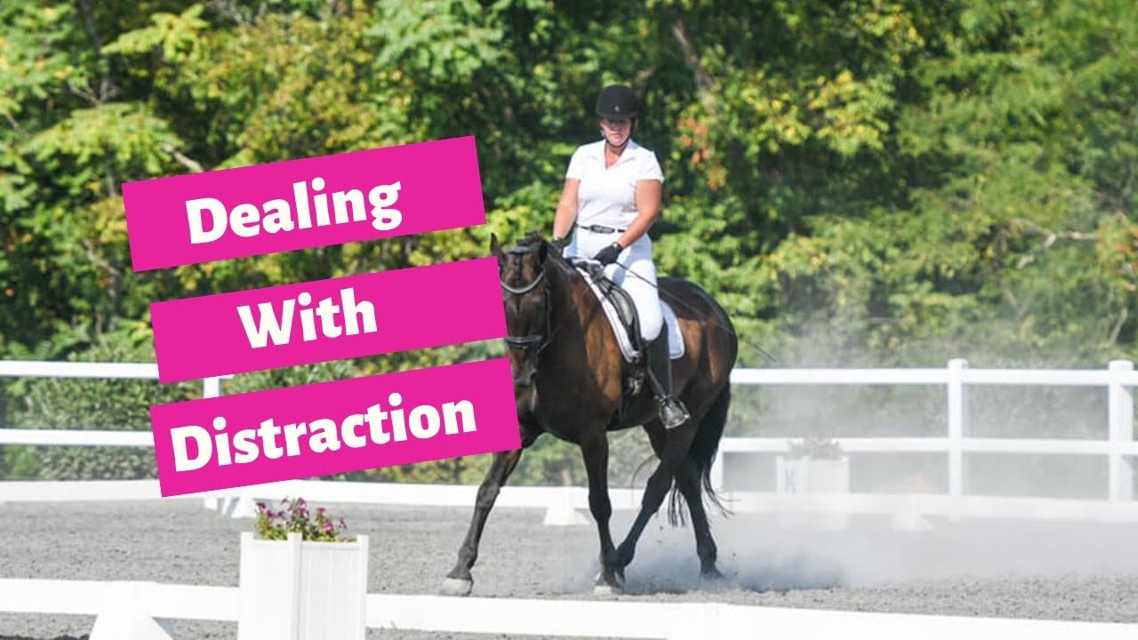 Dealing With A Distracted Dressage Horse - YouTube
