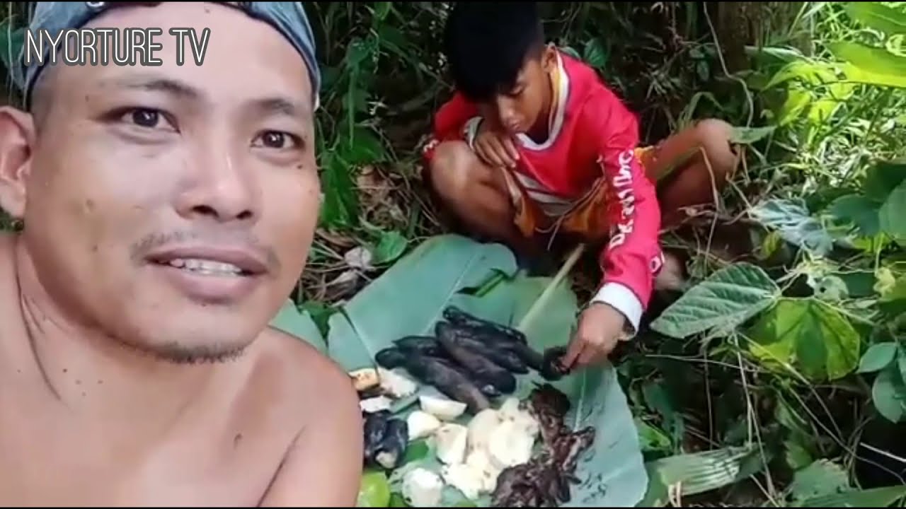 FINDING EDIBLE ROOT CROPS IN THE WILD / survival and Primitive Skills ...