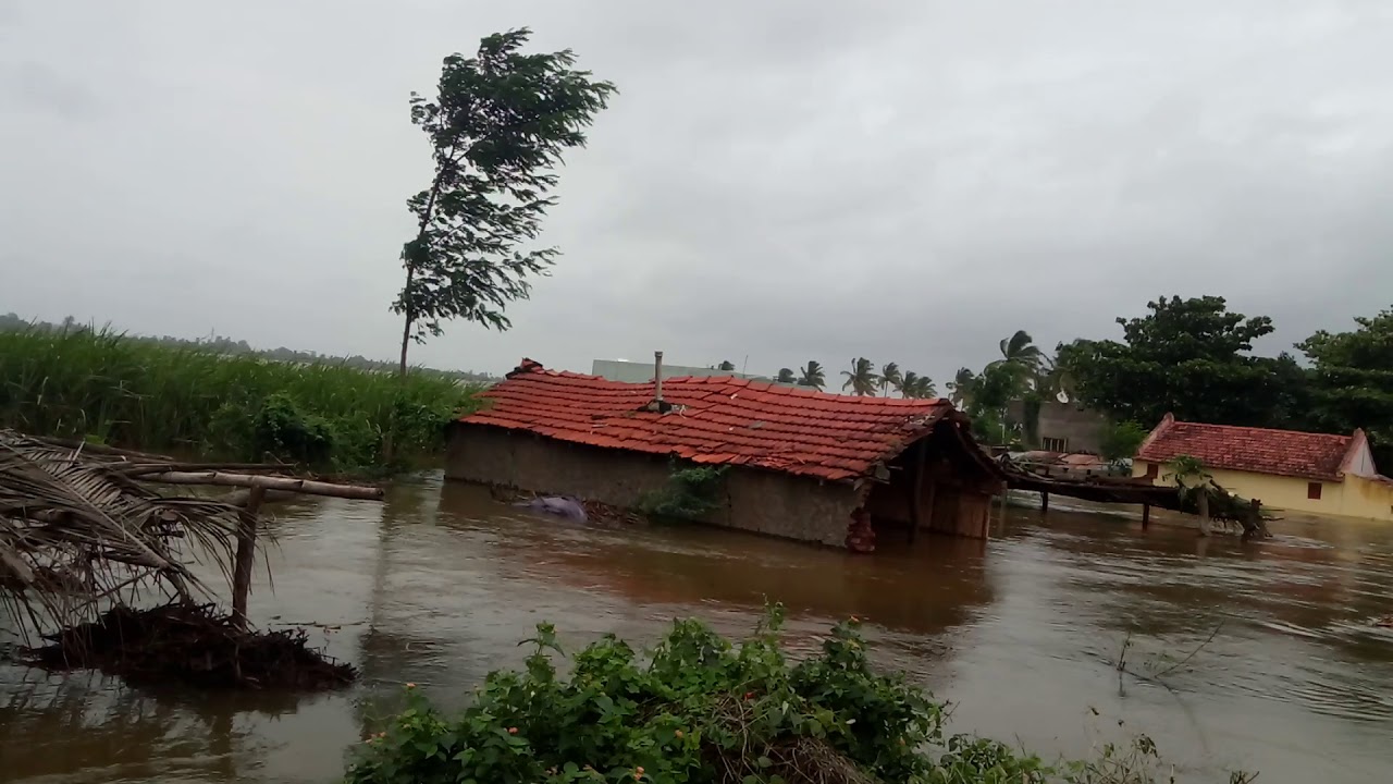 |Water flood| in Kudachi Krishna river - YouTube