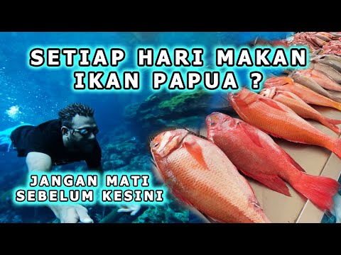 SETIAP HARI MAKAN IKAN ? WISATA & PASAR IKAN PAPUA - BIAK NUMFOR