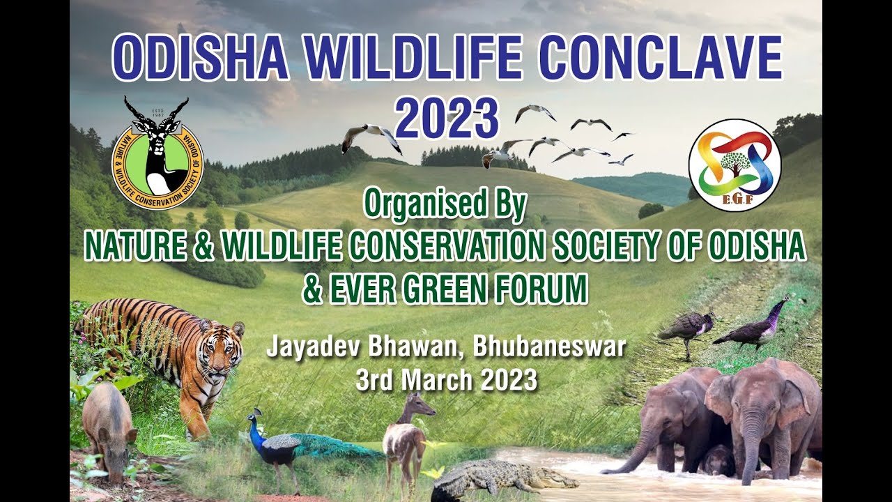 Dr. Debabrata Swain | Odisha Wildlife Conclave 2023 - YouTube