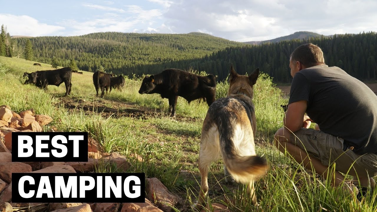 BEST COLORADO FREE CAMPING (With Cows) | Exploring Frisco Colorado and ...