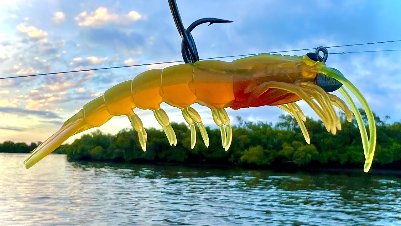 THIS NEW LURE CATCHES EVERYTHING! - YouTube