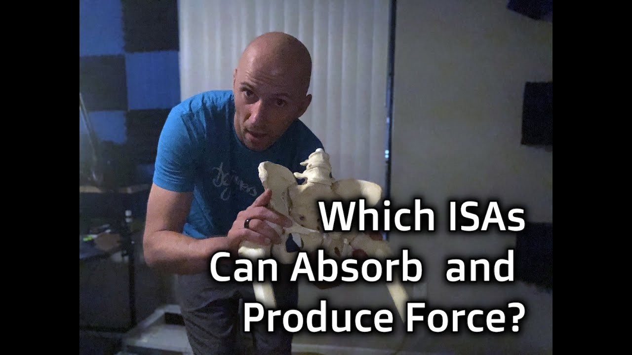 Force Absorption and Production of Infrasternal Angles - YouTube