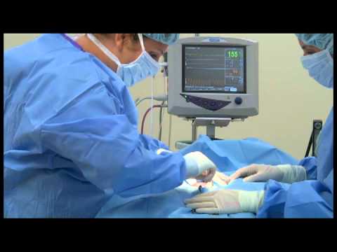 Exotic Animal Medical Service - YouTube