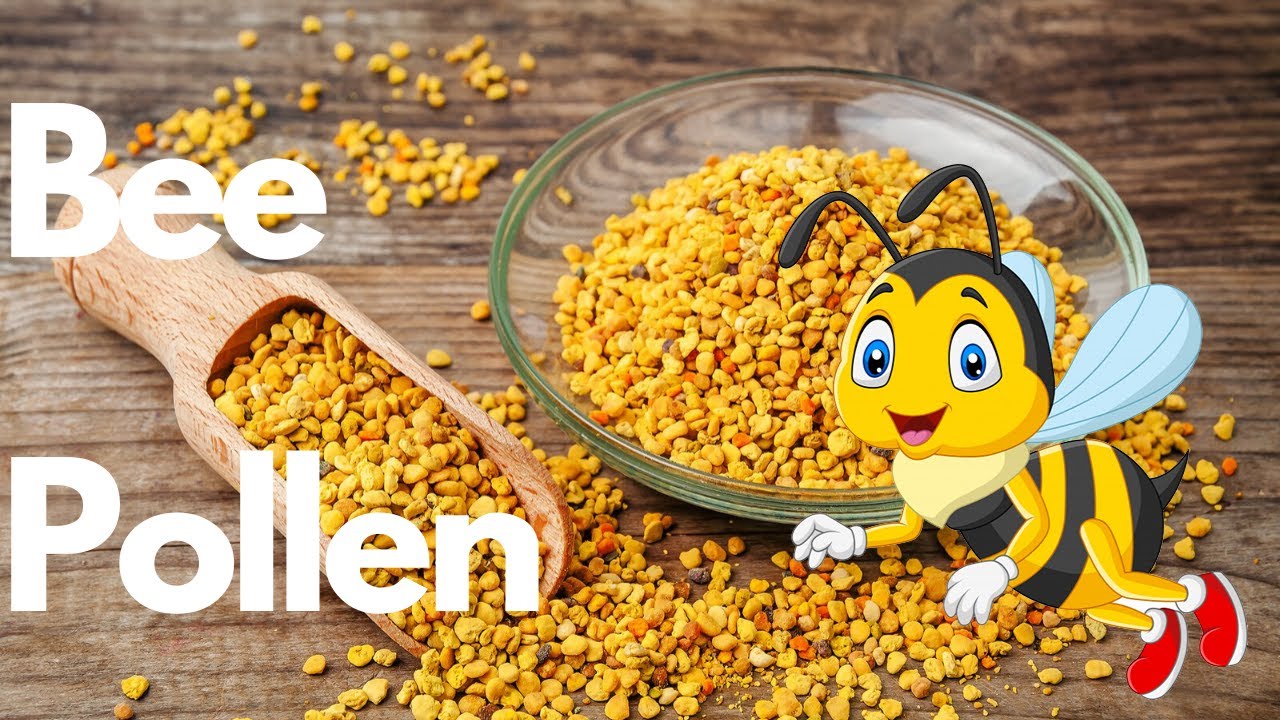 Bee Pollen A Medical Miracle? Discover his properties - YouTube