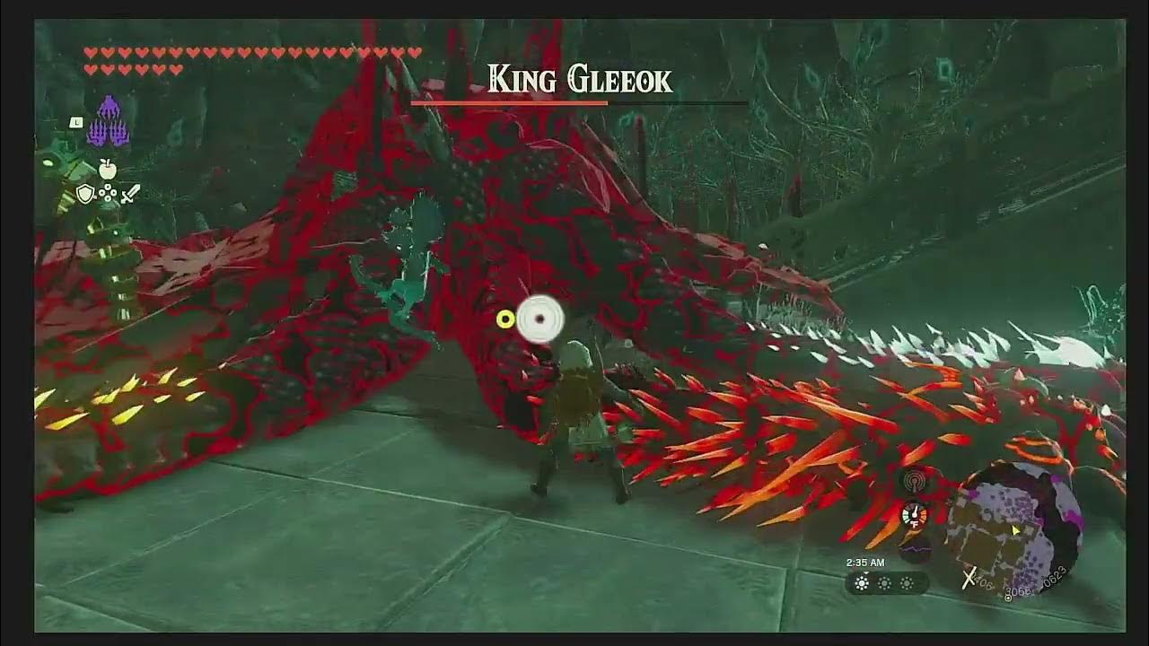 Zelda TotK: King Gleeok Depths - YouTube