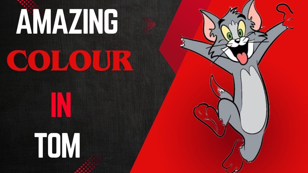 Amazing Colour in Tom Cartoon Series // 🎨🖍️ // 🌈 - YouTube