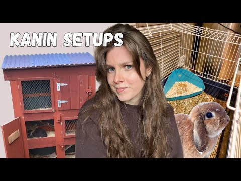 Reagerar på mina följares kanin - setups | SISTA DELEN