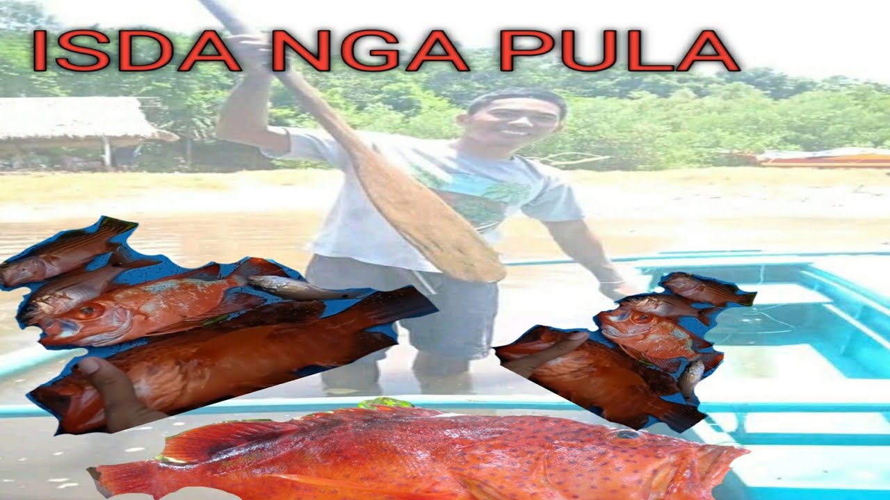 ODING TV #2: Isda Na Pula #Vlog Numero Dos (2) Oding Estrera TV - YouTube