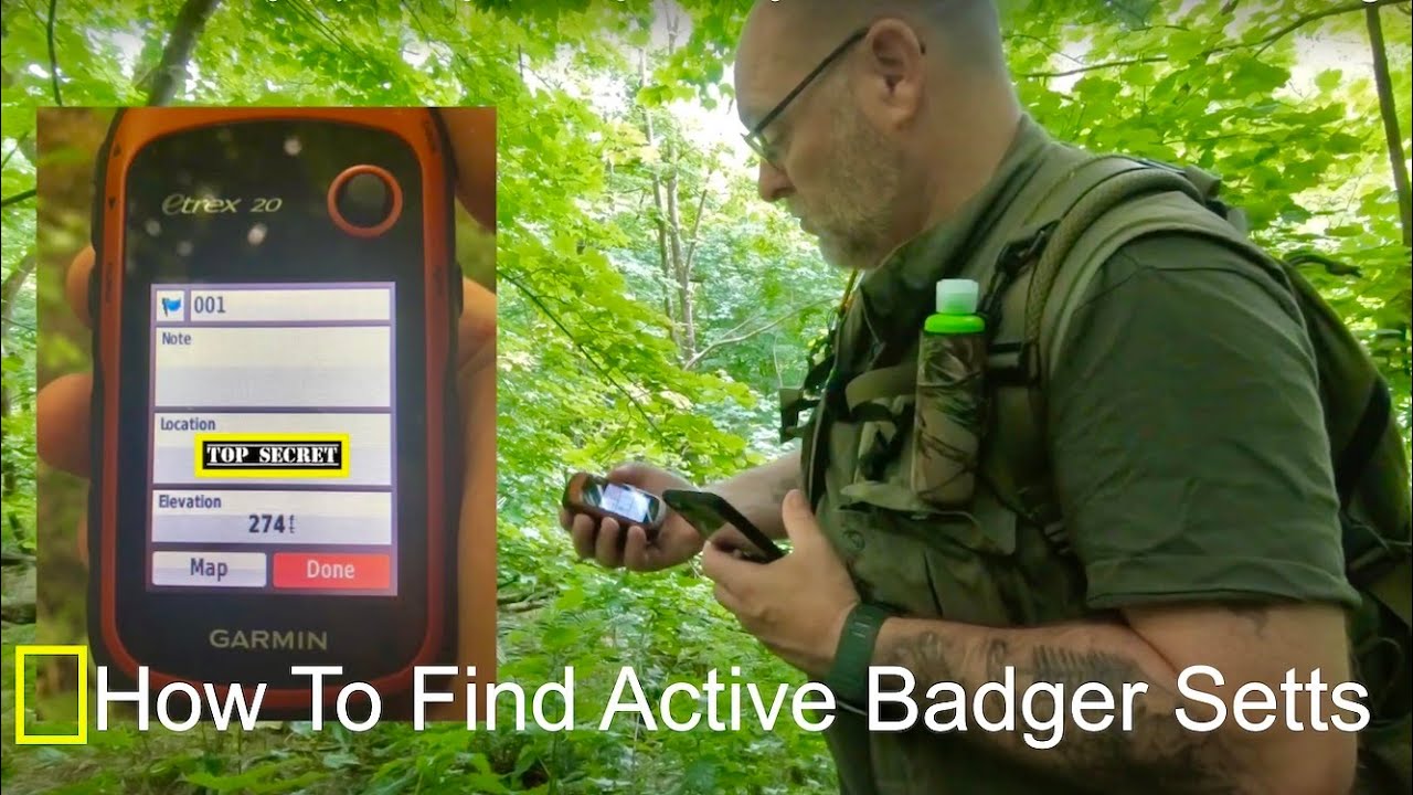 Wildlife/Nature Photography | Tracking And Finding Active Badger Setts ...
