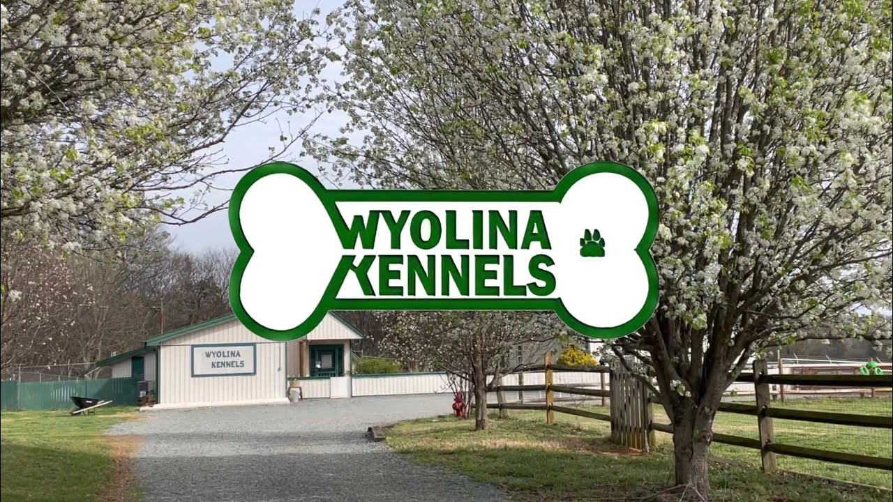 Wyolina Kennels - YouTube