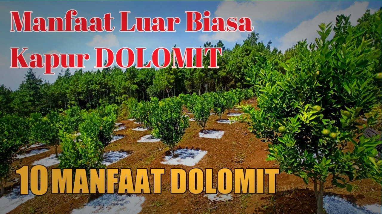 Manfaat Luar Biasa Kapur Dolomit Bagi Tanah Dan Tanaman - YouTube
