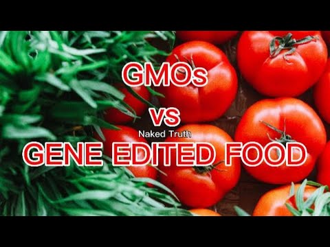 The Shocking Truth About the GMO vs Gene Editing Debate - YouTube