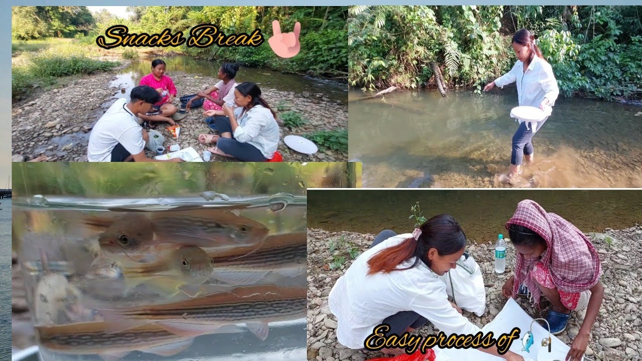 Went for a rural style fishing | Amazing experience 😍 - YouTube