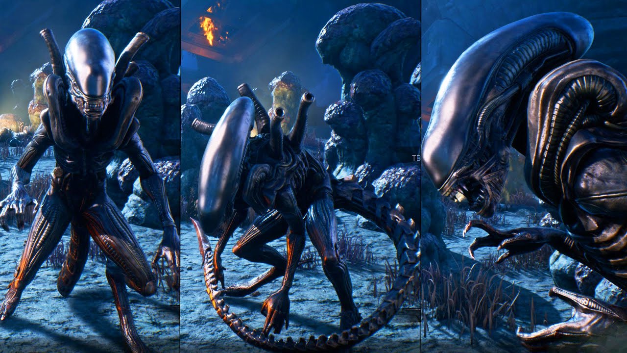 The Xenomorph Lobby Animations Youtube