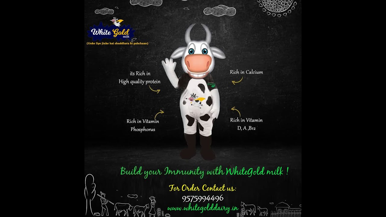 WhiteGold Milk - Best online dairy in Rewa - YouTube