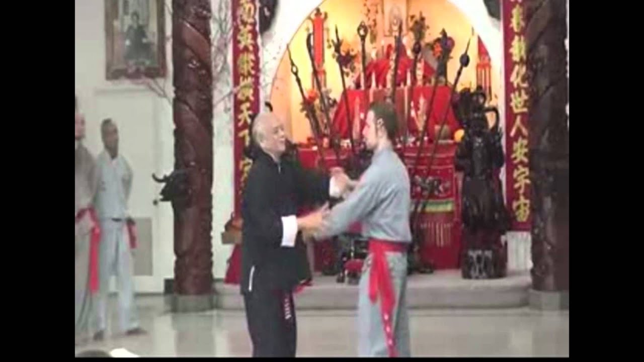 Shaolin Wing Chun - Grand Master Nam Anh chi sao 2010 part 3 - YouTube