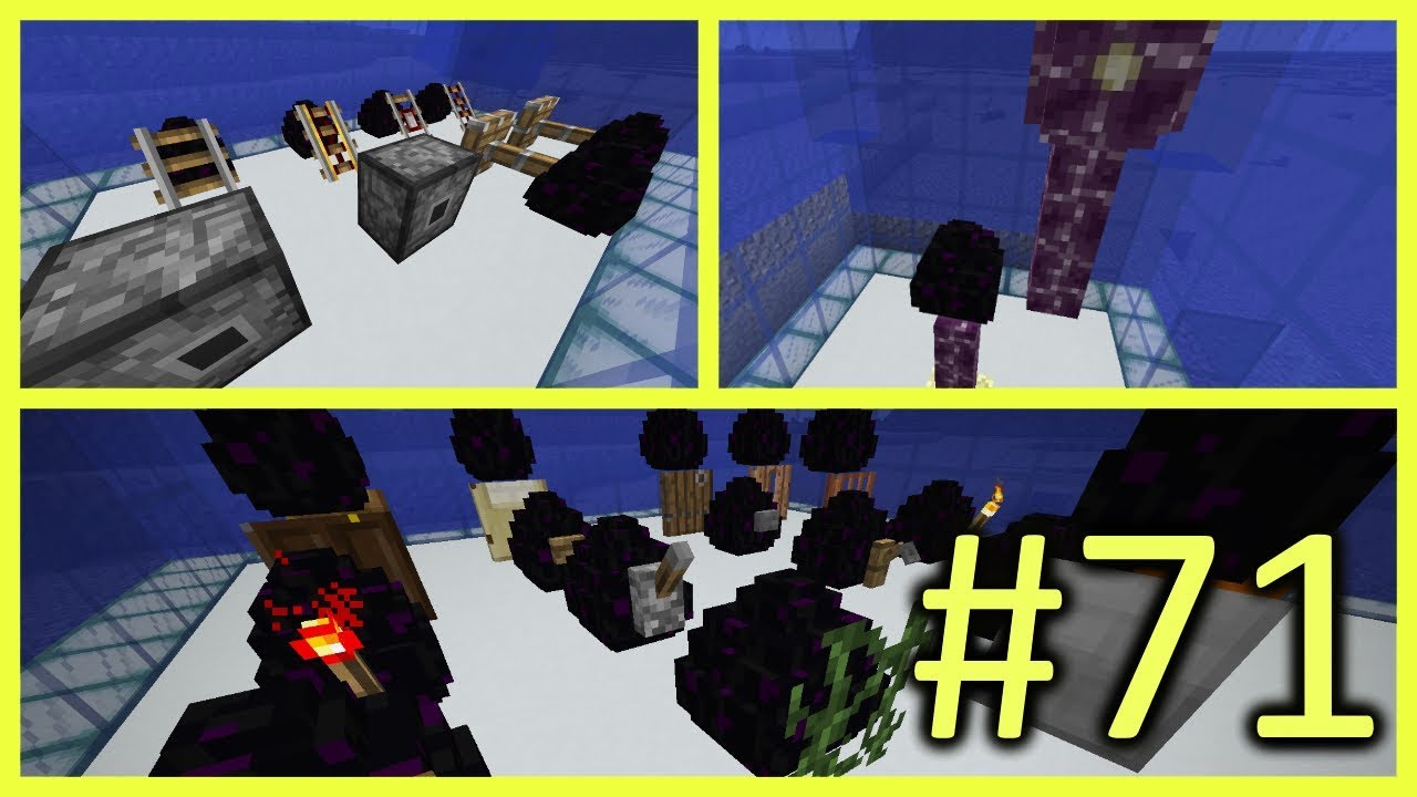 ProtoTech SMP #71 | Dragon Egg Dynasty - YouTube