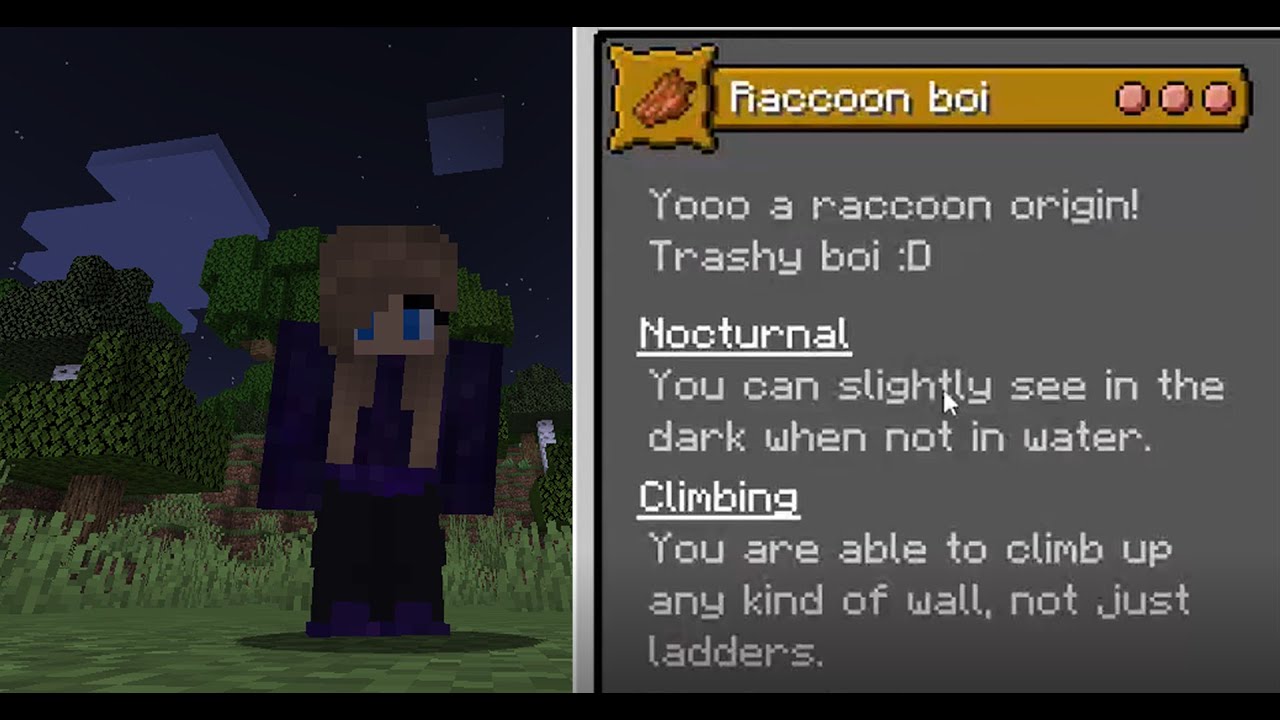 I'm a Little Racoon! | Racoon Origins (Mod Review) - YouTube
