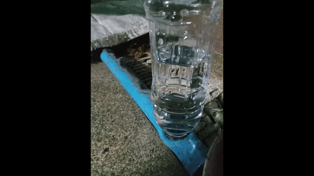 Water for Cricket DIY ที่ให้น้ำจิ้งหรีดสำหรับผู้ที่มีเวลาน้อย - YouTube